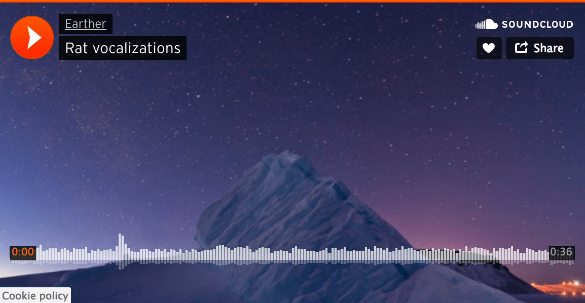 ラットの会話を深層学習で解読するシステム｢DeepSqueak｣が開発される | AI-SCHOLAR | AI：(人工知能)論文・技術情報メディア